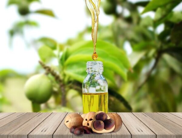 ENCUESTA REVELA BENEFICIOS DEL ACEITE DE CACAY - Urigo